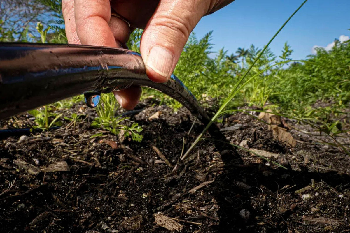 How Long to Run Drip Irrigation: Smart Runtimes for Healthier Plants ...