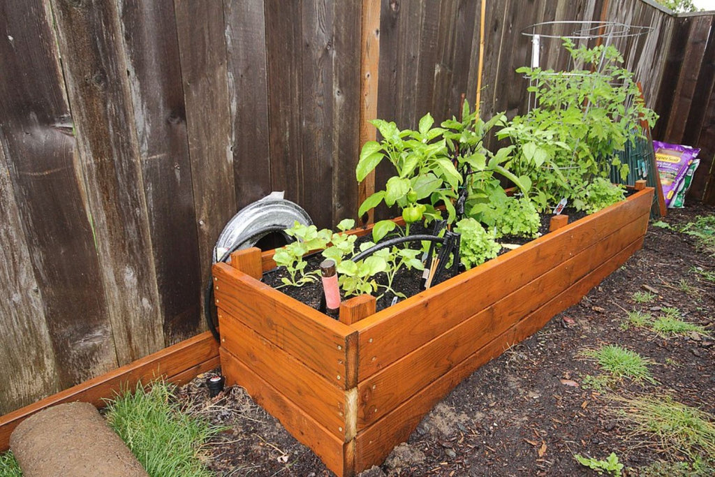 Filling a Raised Garden Bed the Right Way: Layer-by-Layer Breakdown ...