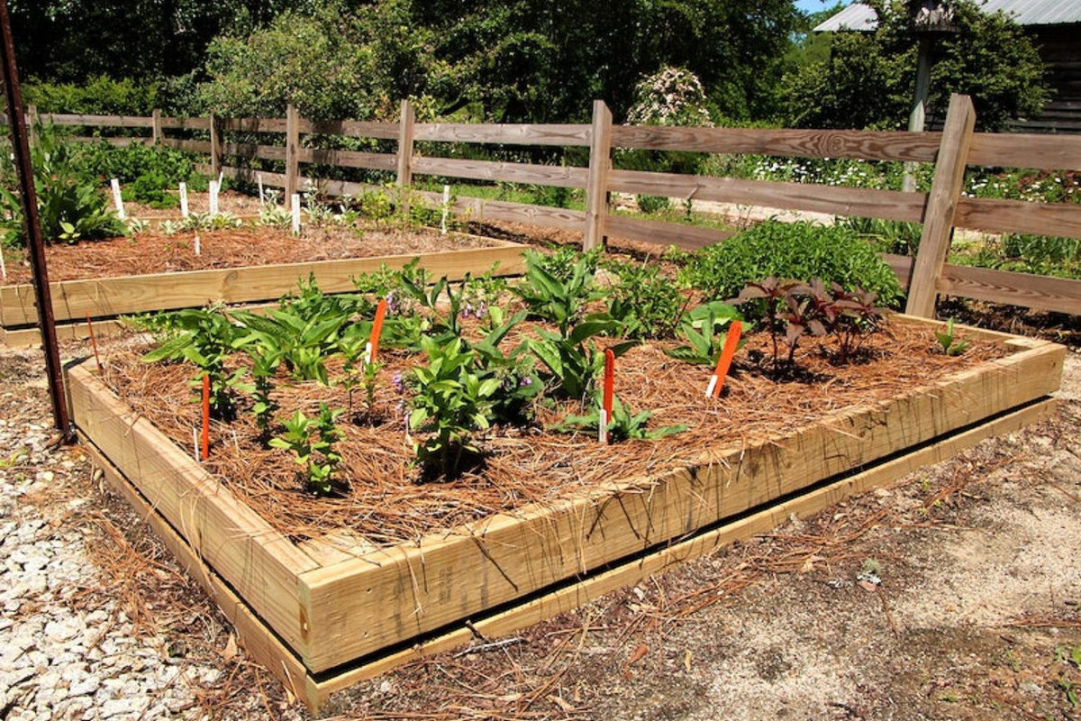 How to Keep Cats Off Garden Beds: Proven Tips That Actually Work – Epic ...