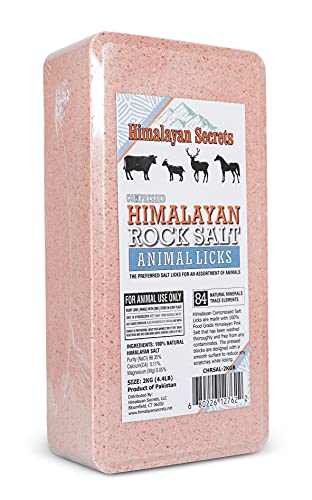 Salt & Mineral Blocks For Livestock For Sale | Epic Agriculture