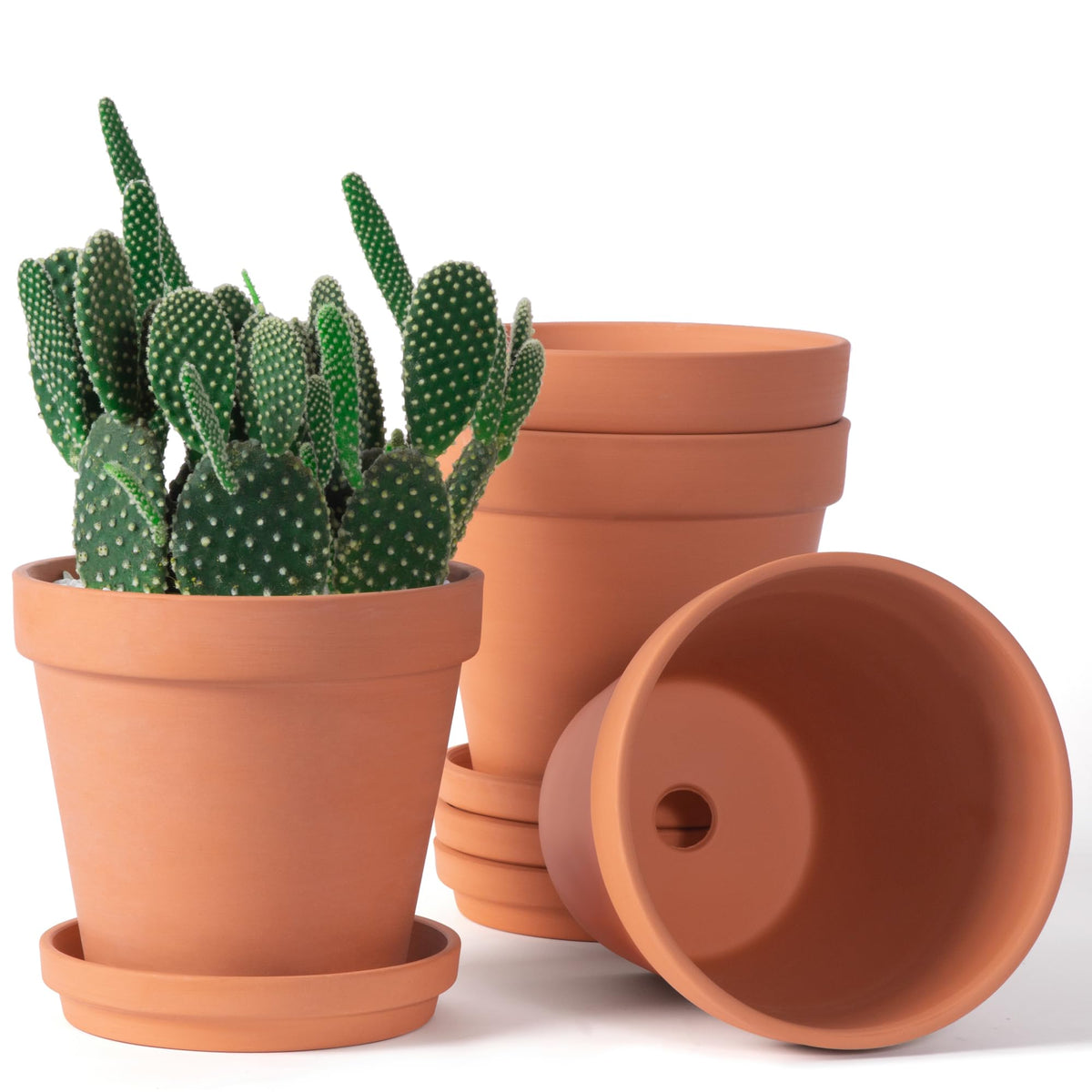 Orceler 6 inch Clay Pots with Saucer & Drainage Hole - 4 Pack – Epic ...